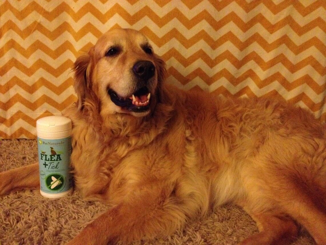 Pet Naturals of Vermont Flea + Tick Repellent Wipes