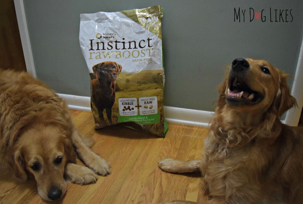 Instinct Raw Boost Review - This is No Ordinary Dog Kibble!