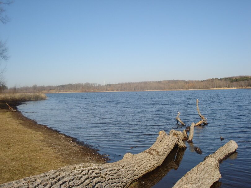 Dog Friendly Parks: Mendon Ponds Park