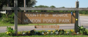 Dog Friendly Parks: Mendon Ponds Park