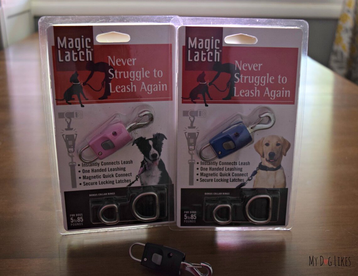 Magic Latch Review - Hands-Free Magnetic Leash and Collar Attachement