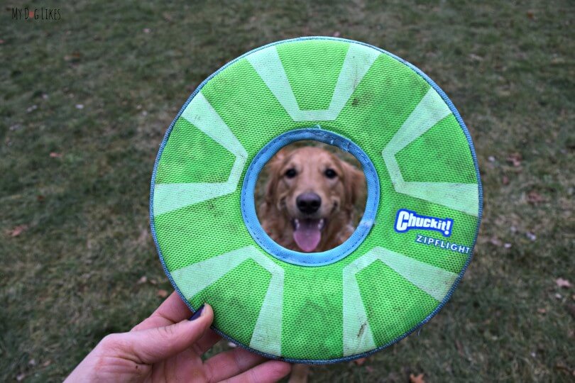 Chuckit Zipflight Review - A Dog Frisbee that Really Moves!