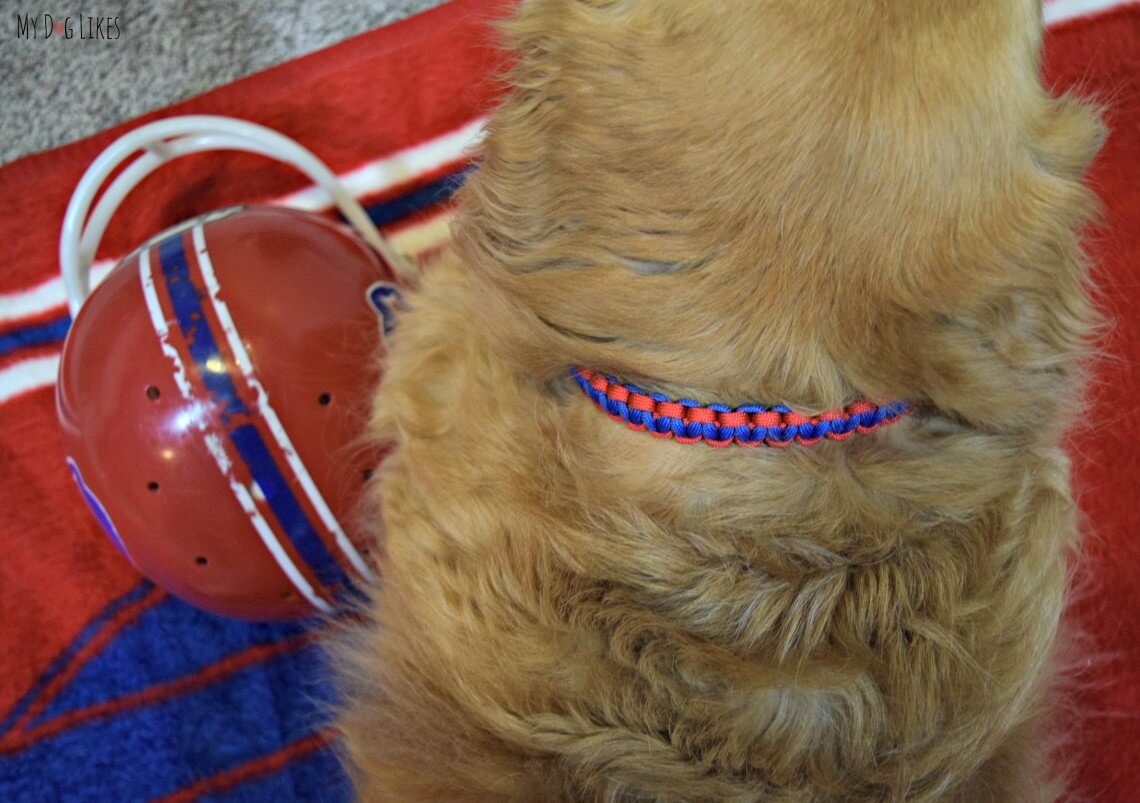Pudin's Paw Paracord Dog Collar and Leash
