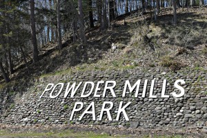 Hiking the Daffodil Trail at Powder Mills Park