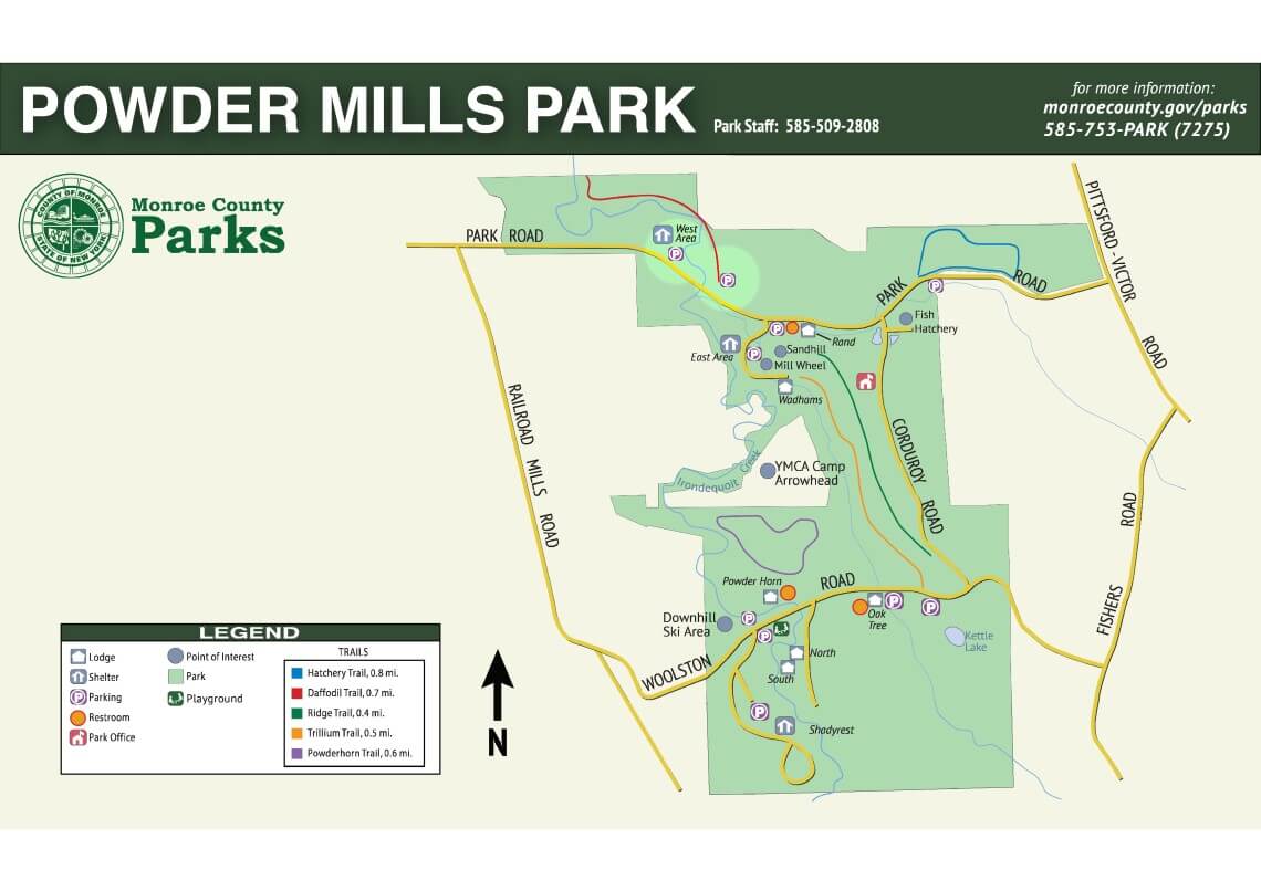 Hiking the Daffodil Trail at Powder Mills Park