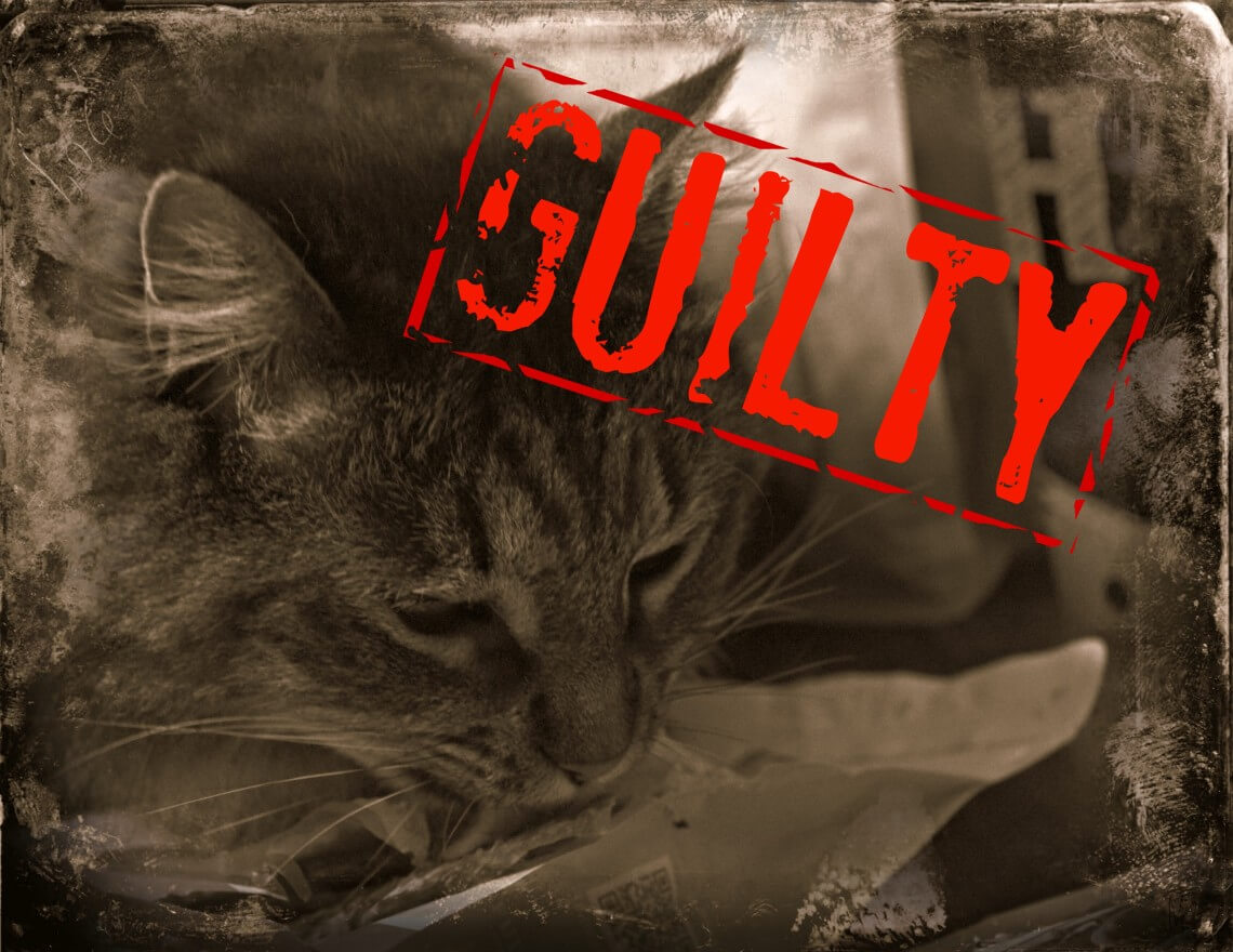 A Monster in the House: Full Moon Chicken Dog Treats