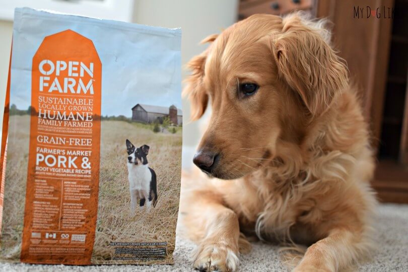 Open Farm Dog Food Review - Sustainable and Ethically Sourced