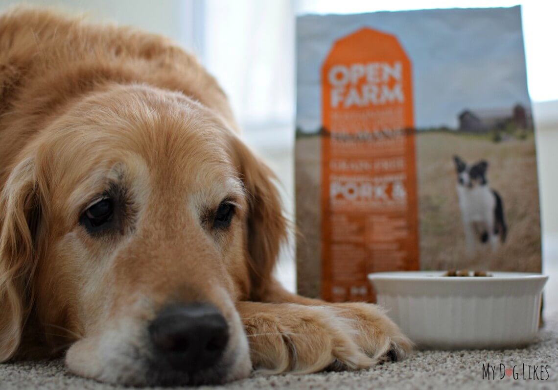 Open Farm Dog Food Review - Sustainable and Ethically Sourced