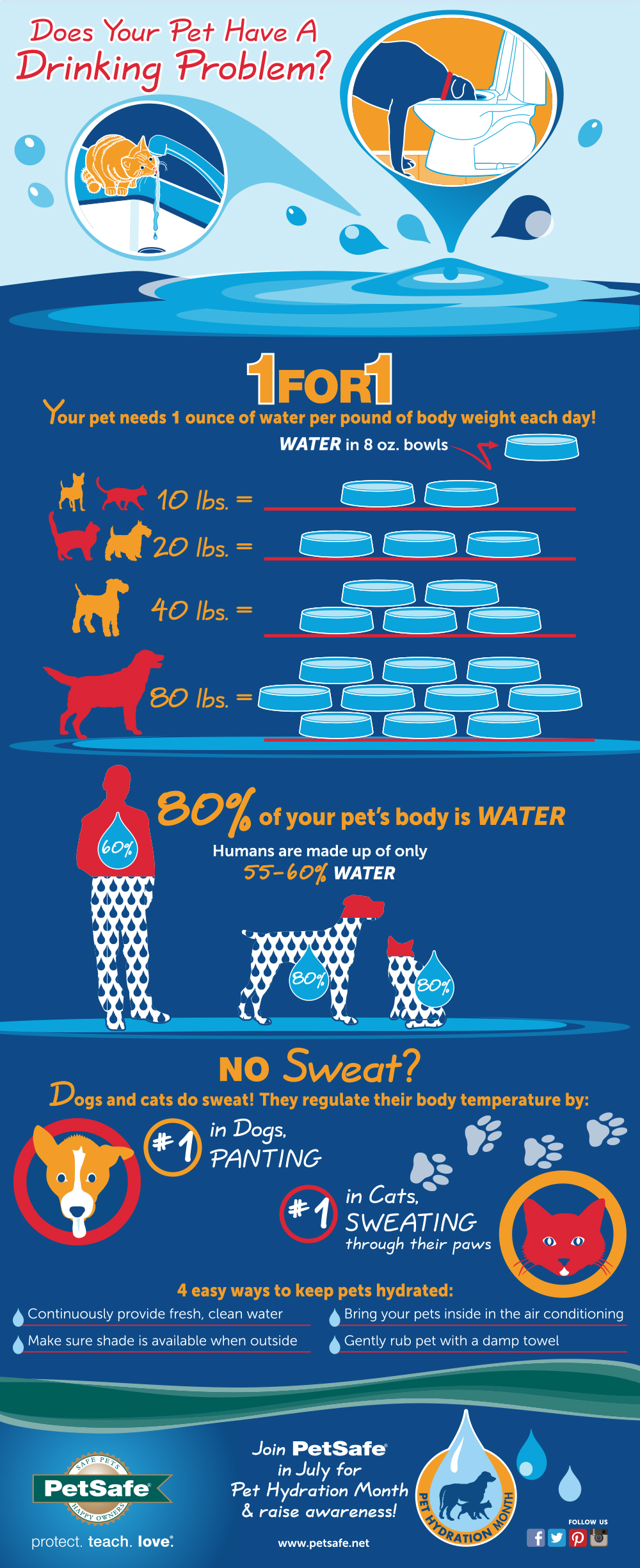 Pet Hydration Month - Is Your Pet Drinking Enough Water?