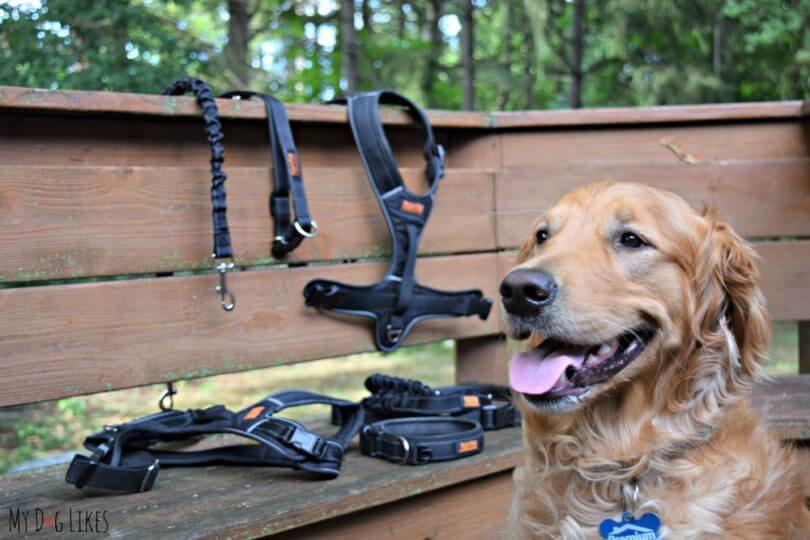 MightyPaw - Dog Gear & Accessories for Active Dogs