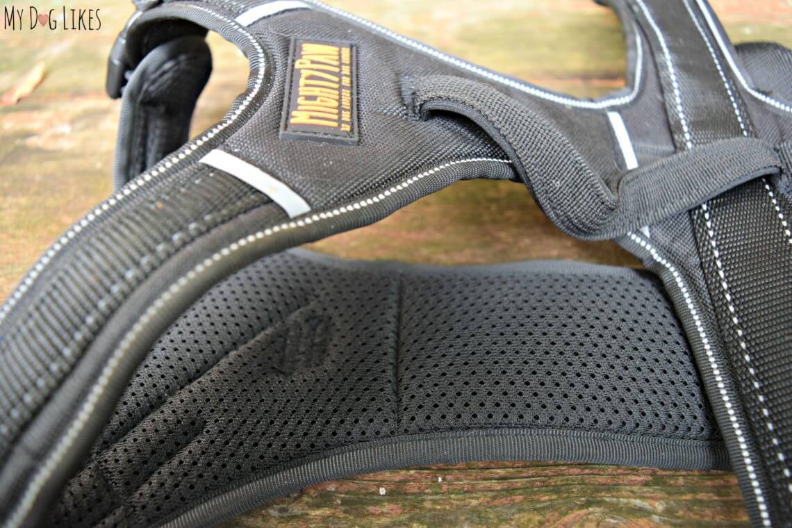 MightyPaw - Dog Gear & Accessories for Active Dogs