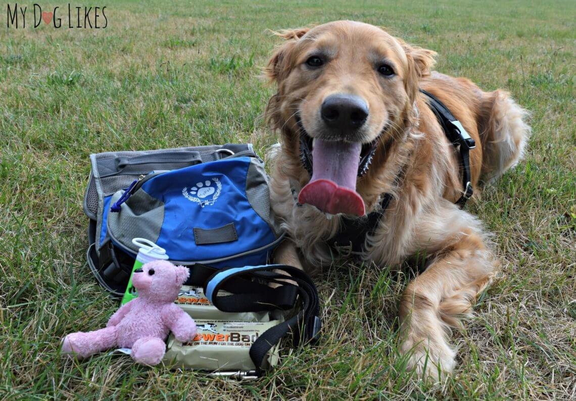 Be Prepared with a Dog Bug Out Bag from WhyWeWag