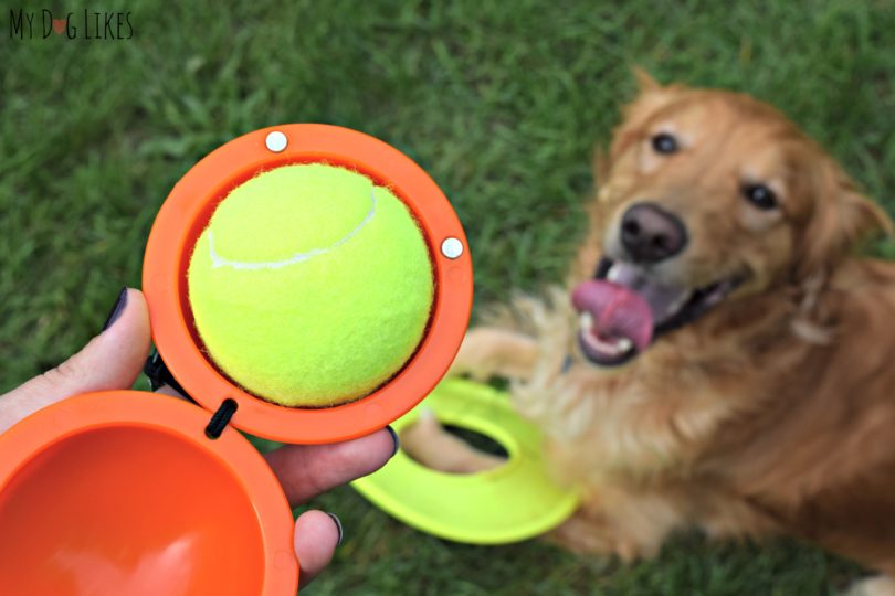 Fetch It Case Review - Hands Free, Slobber Free Tennis Ball Holder!