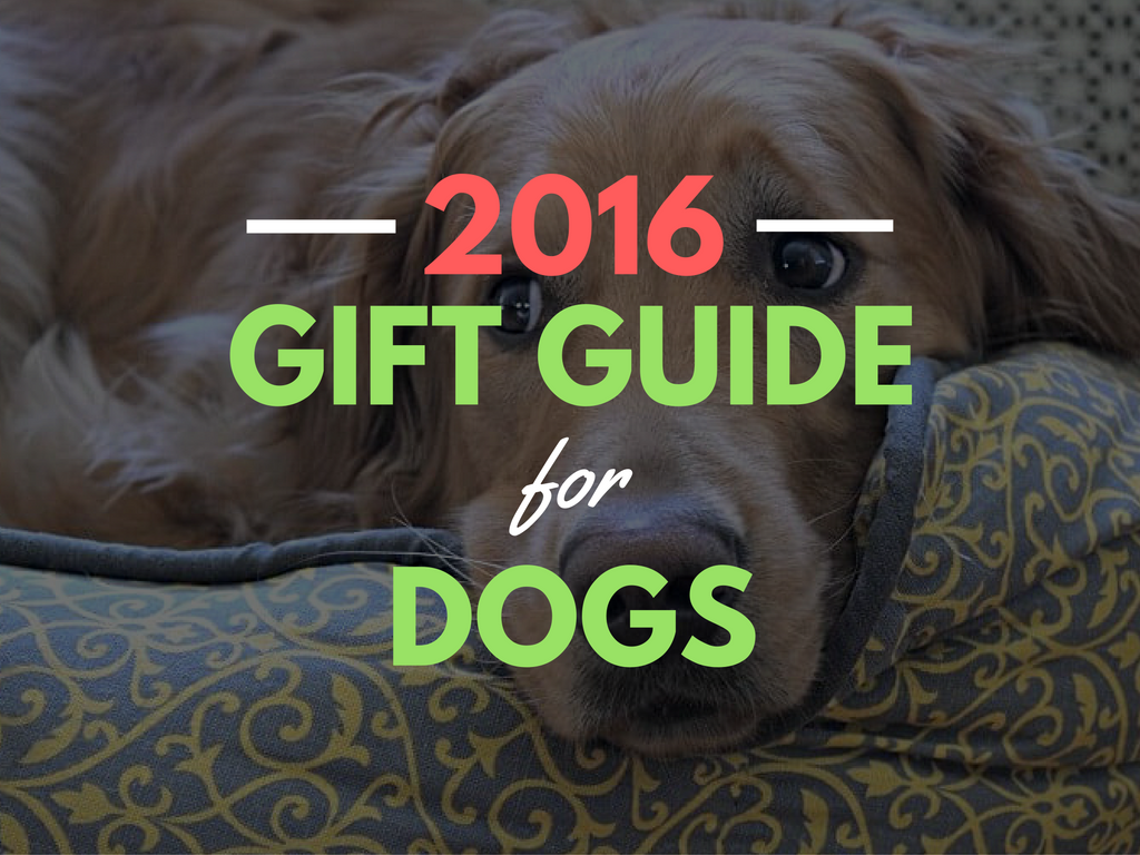 48 Fun and Unique Gifts for the Dogs on Your Shopping List