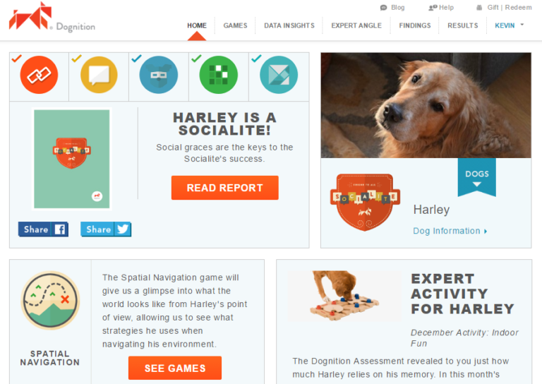 Dognition Review - Harley and Charlie Take the Test!