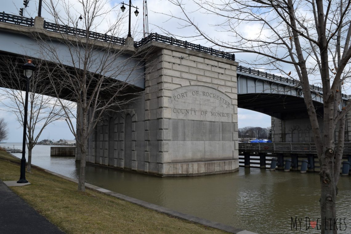 Exploring the Turning Point Park Boardwalk Trail with Dogs
