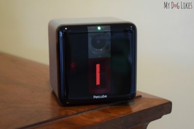 Petcube Review - Interacting With Your Pets When You're Not at Home!