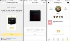 Petcube Review - Interacting With Your Pets When You're Not at Home!