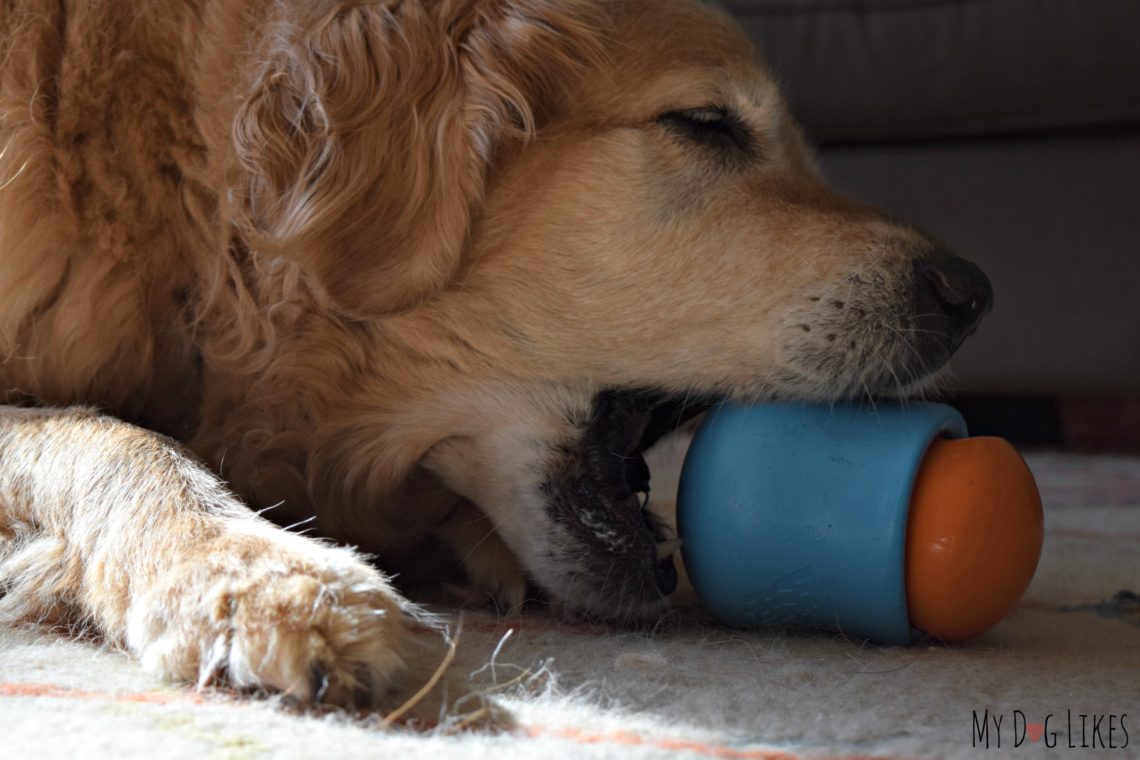 West Paw Design Toppl Review - Tough Chewing, Treat Dispensing Fun