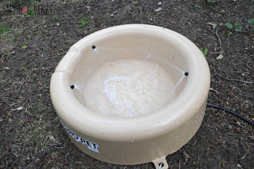 The Hydro Pet Automatic Dog Water Bowl - Convenient & Eco-Friendly