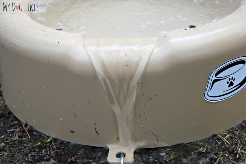 The Hydro Pet Automatic Dog Water Bowl - Convenient & Eco-Friendly