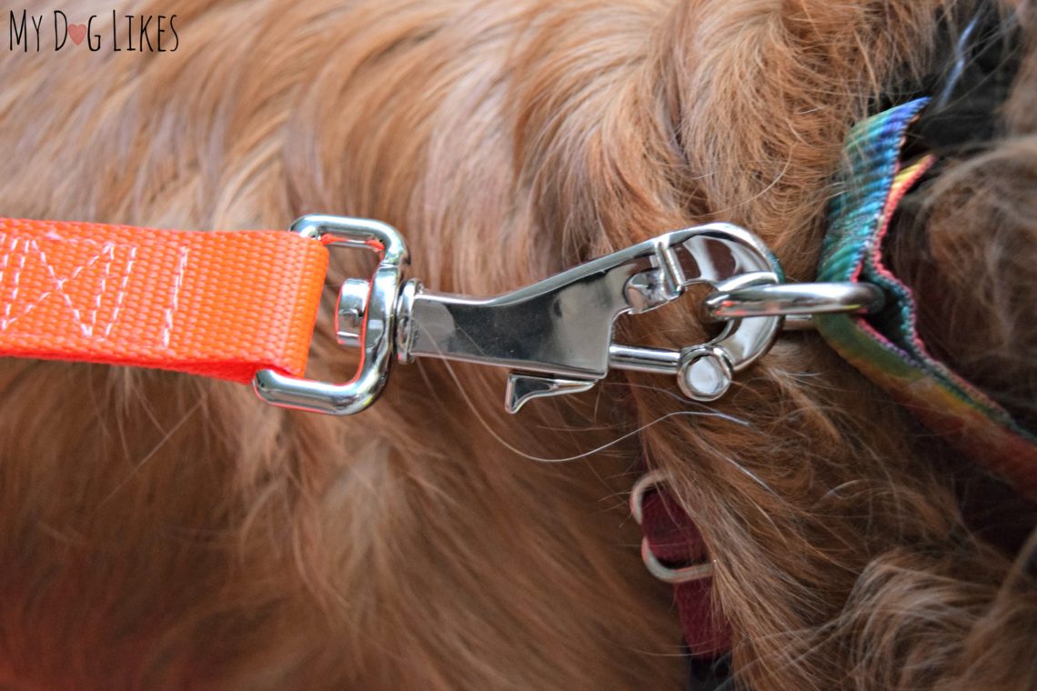 Nifti SafeLatch Review - Making a Faster and Stronger Leash Connection