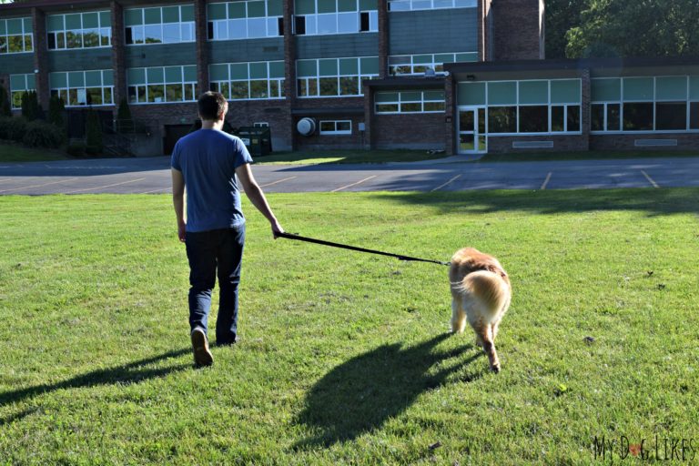 Staying in Control with a 2 Handle Dog Leash from Lucky & Co.