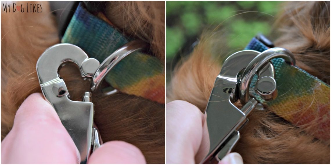 Nifti SafeLatch Review - Making a Faster and Stronger Leash Connection