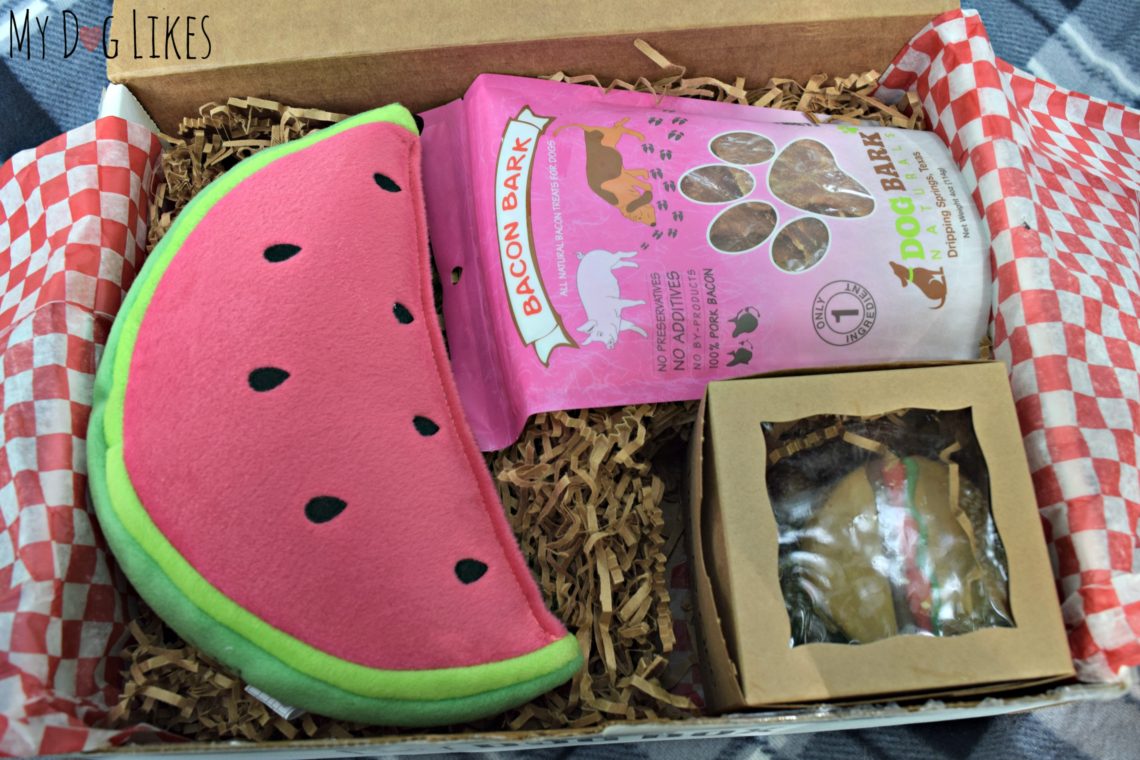 An Impromptu Picnic with the Dee-O-Gee DOG BOX