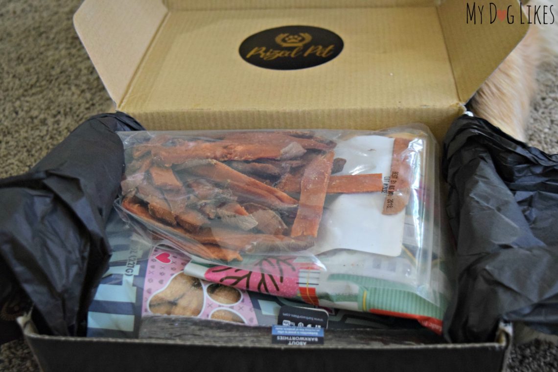 Prized Pet Box Review - High Quality Treats at an Amazing Price!