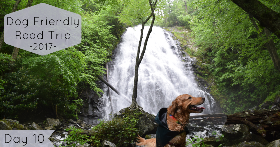 Road Trip Day 10: Dog Friendly Hikes along the Blue Ridge Parkway