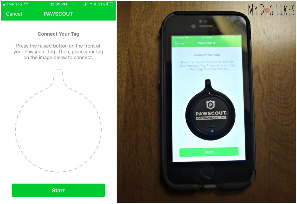 Pawscout Bluetooth Pet Tracker - An Innovative Solution for Lost Pets