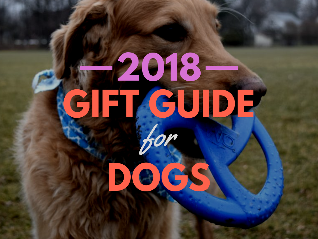 53 Fun and Unique Gifts for the Dogs on Your Shopping List (2019)