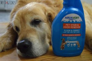 Aquavert - Keeping a Clean Home with the Power of Electrolyzed Water