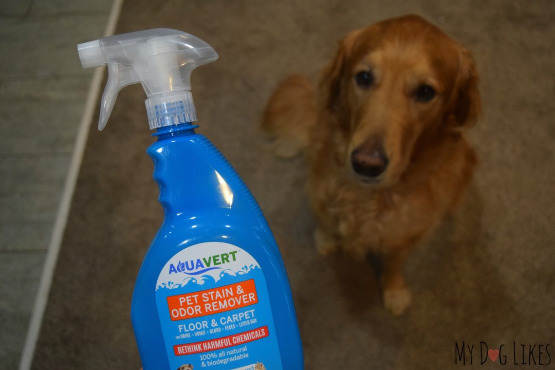 Aquavert - Keeping a Clean Home with the Power of Electrolyzed Water