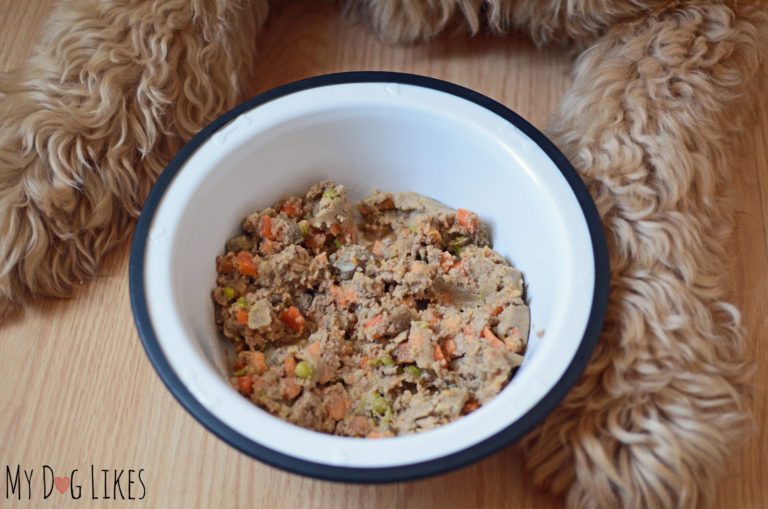 Introducing PetPlate - Human Grade, Ready to Eat Meal Delivery for Dogs