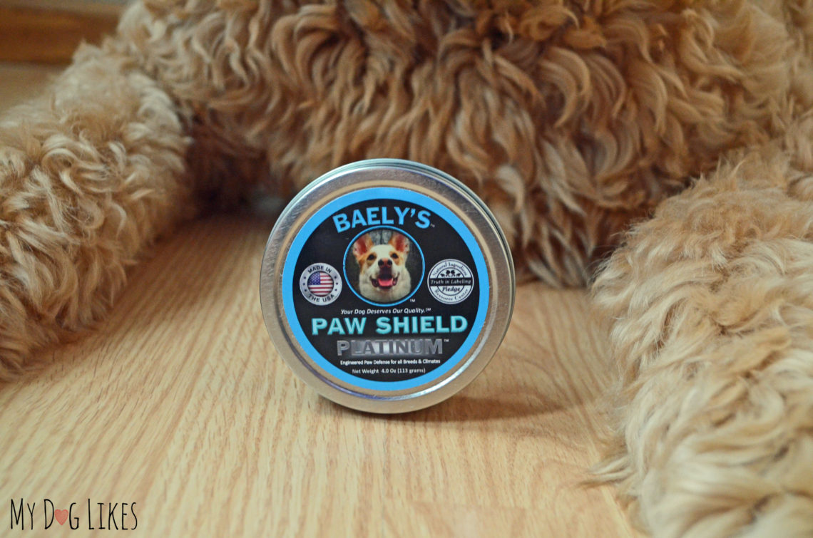 Baely's Paw Shield Review - Withstanding a Real Arctic Blast