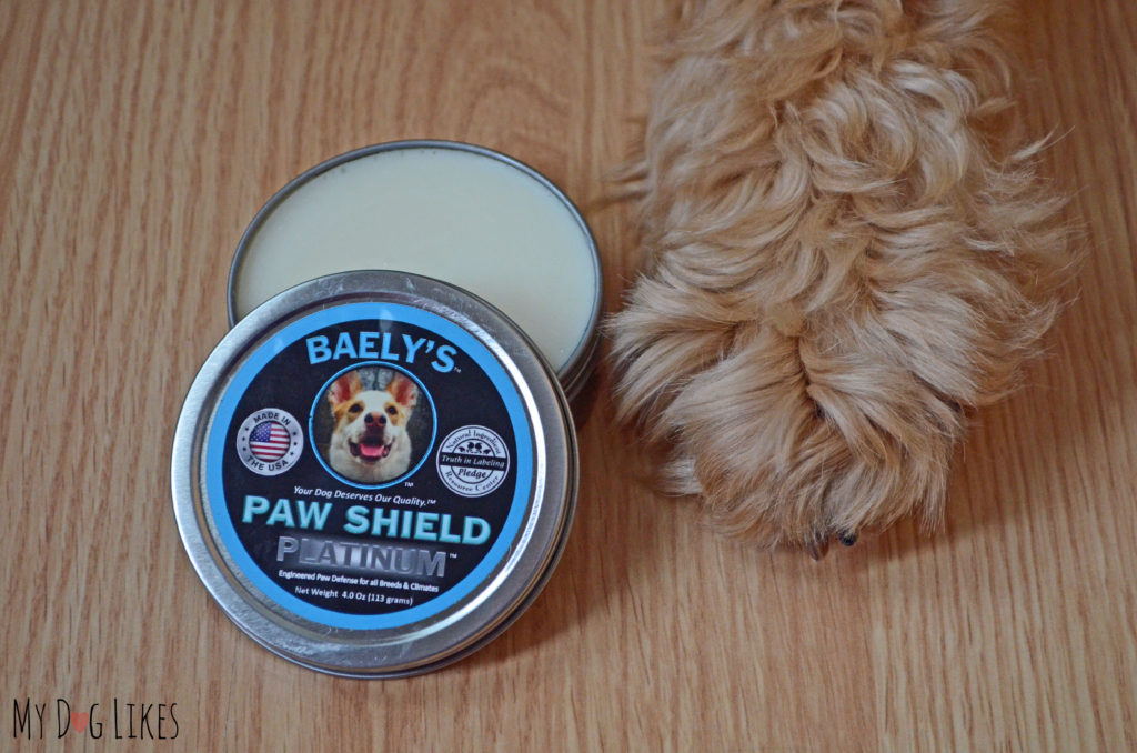 Baely's Paw Shield Review - Withstanding a Real Arctic Blast