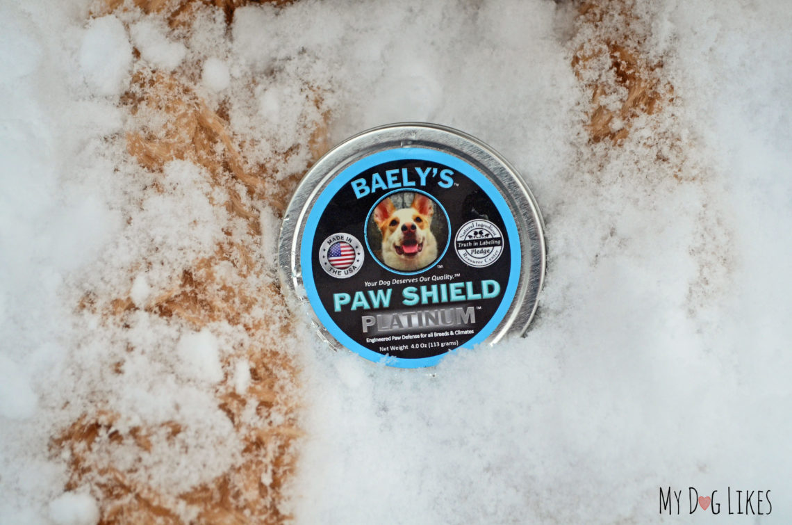 Baely's Paw Shield Review - Withstanding a Real Arctic Blast